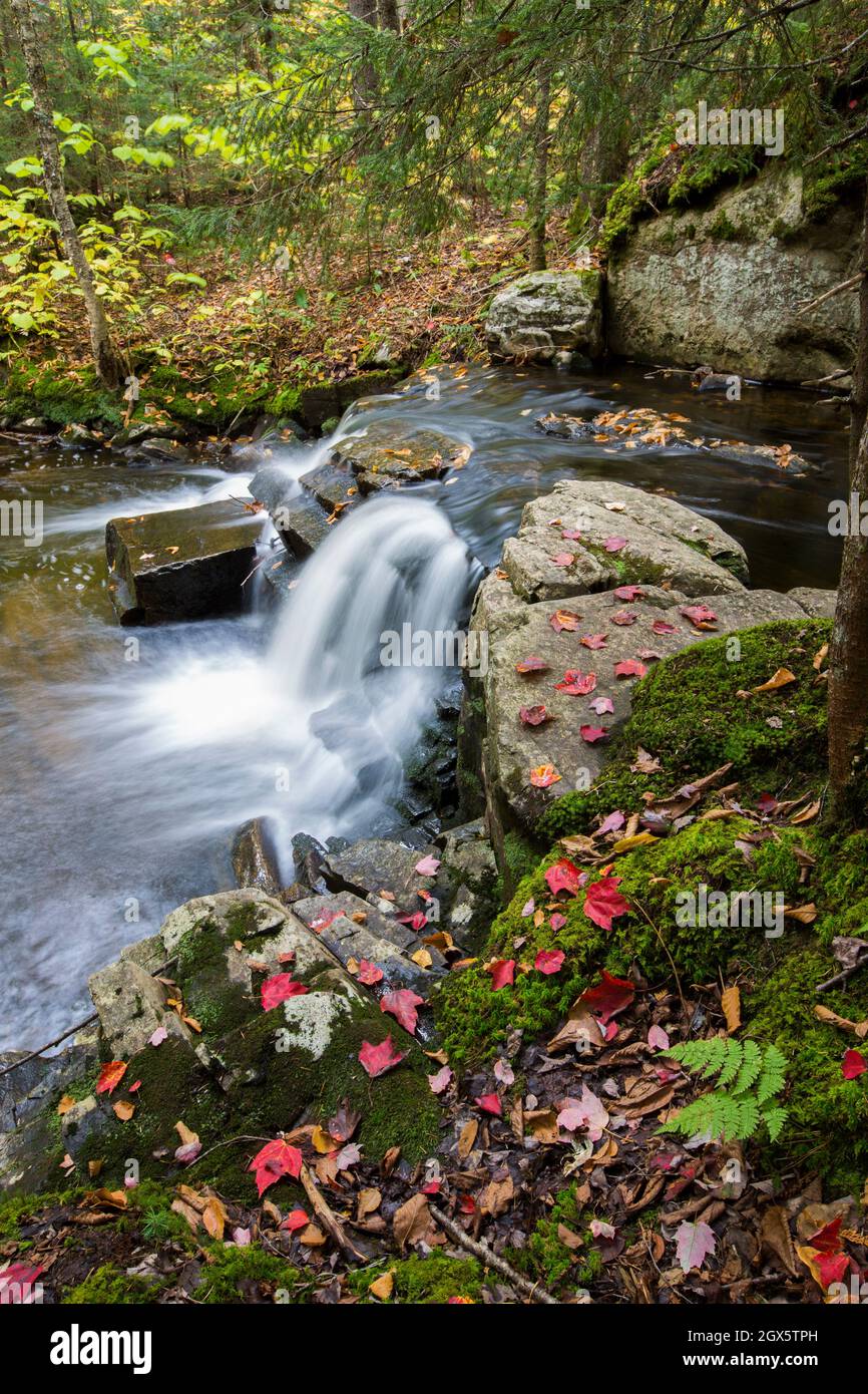 Colorful Canadian creek in Mont Tremblant national park Stock Photo - Alamy