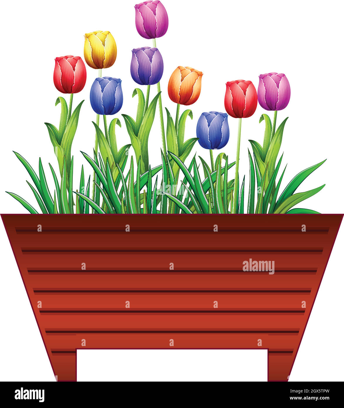 Red yellow tulips isolated Stock Vector Images - Alamy
