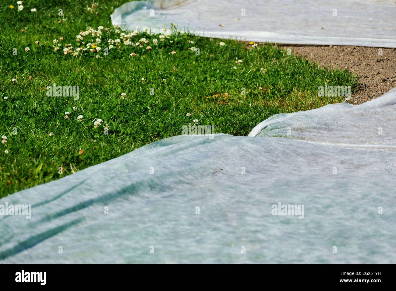 Garden fleece tree hi-res stock photography and images - Alamy