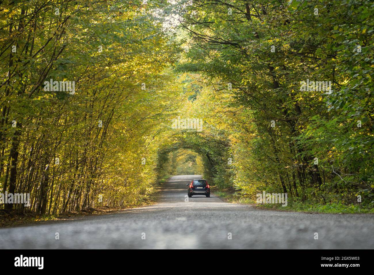 Tunnel road background hi-res stock photography and images - Alamy