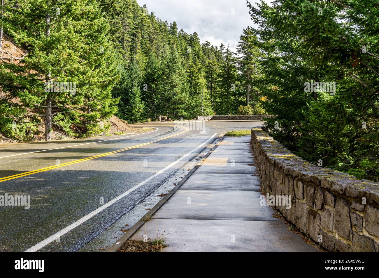 Hurricane ridge viewpoint hi-res stock photography and images - Alamy
