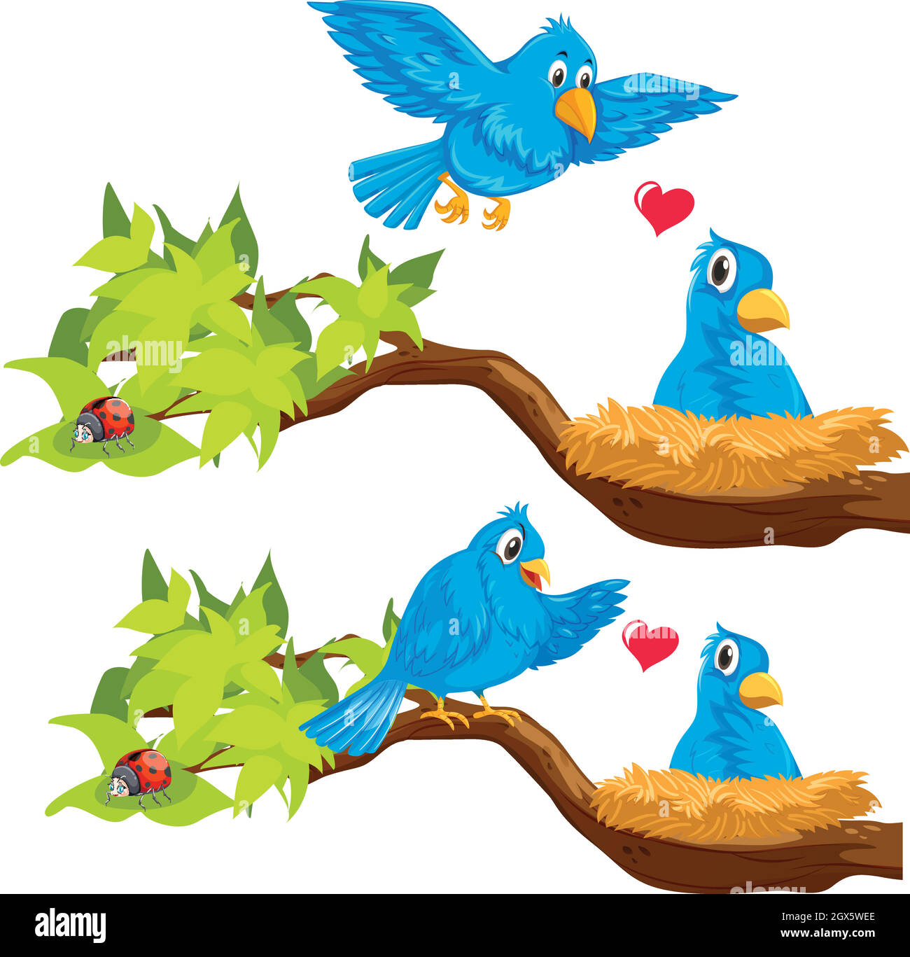 Blue birds in the nest Stock Vector Image & Art - Alamy