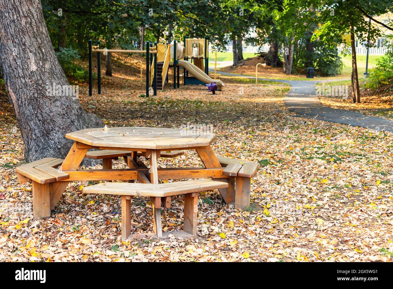 Autumn scenery in local public park with fallen colored leaves on the ...