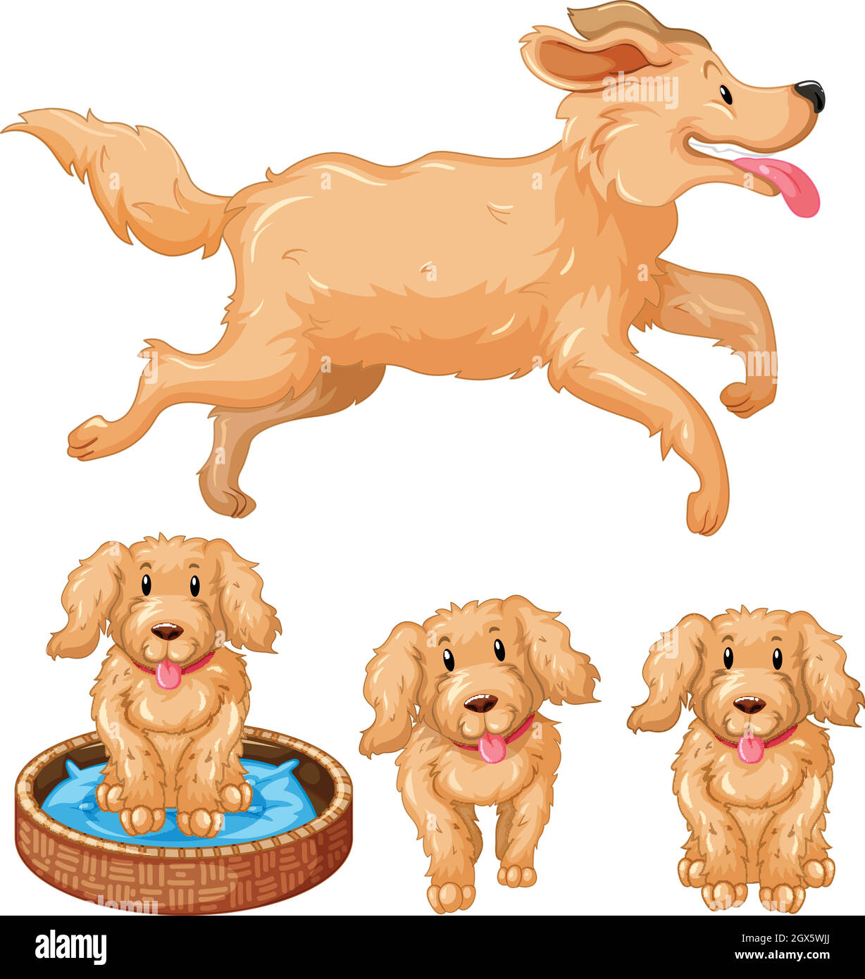 Many puppies Cut Out Stock Images & Pictures - Alamy