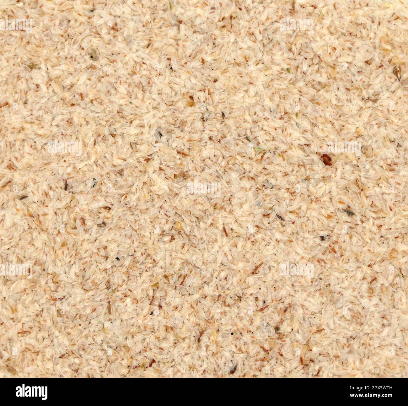 Flea seeds hi-res stock photography and images - Alamy