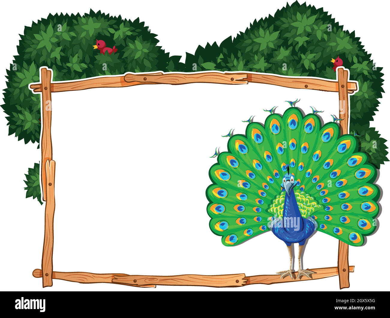 Peacock Border Clipart
