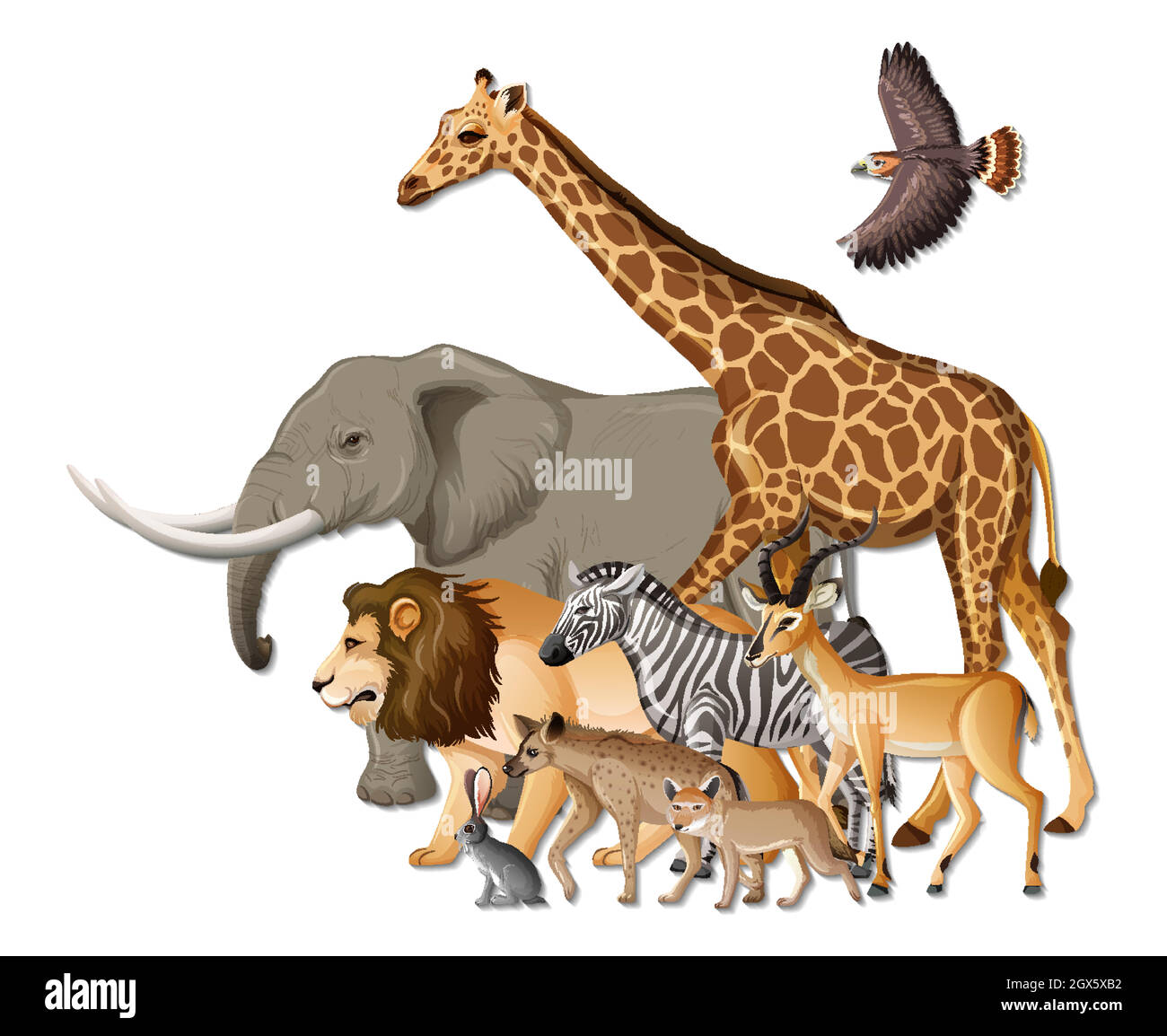 Group of wild African animals on white background Stock Vector Image ...