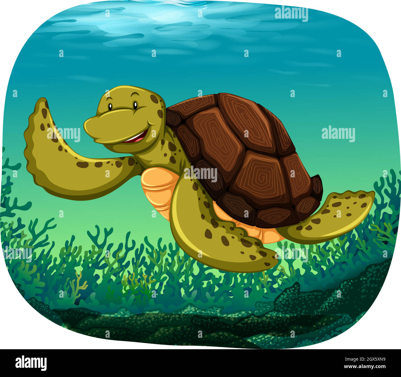 Picture of turtle Stock Vector Images - Alamy
