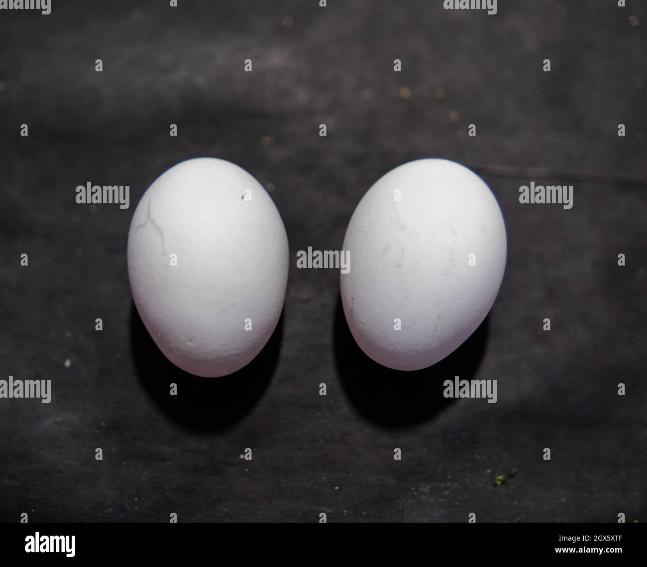 Two fresh white eggs lying down on black surface Stock Photo - Alamy