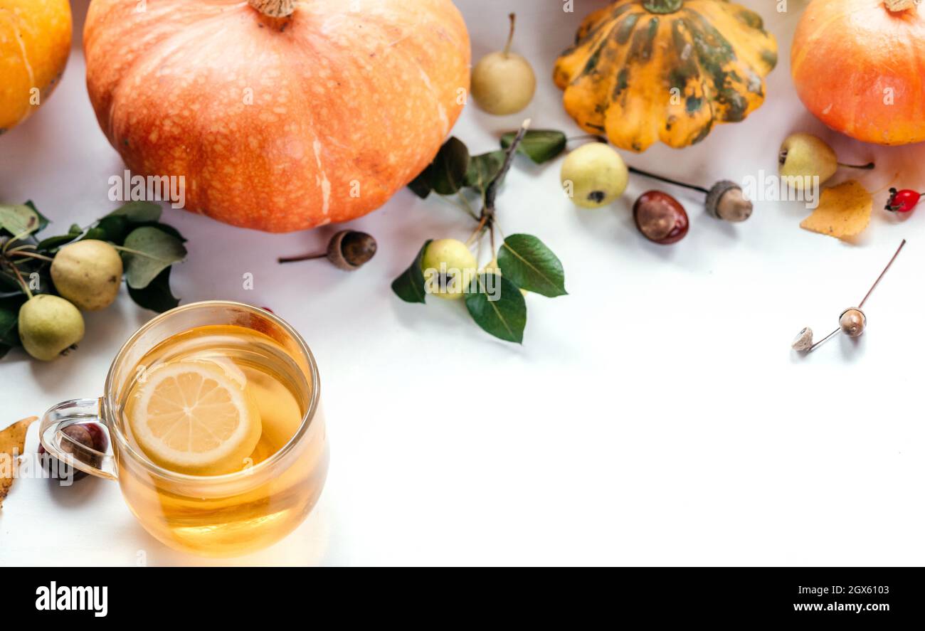 Autumn composition with pumpkins, lemon tea, acorns, and guelder rose ...