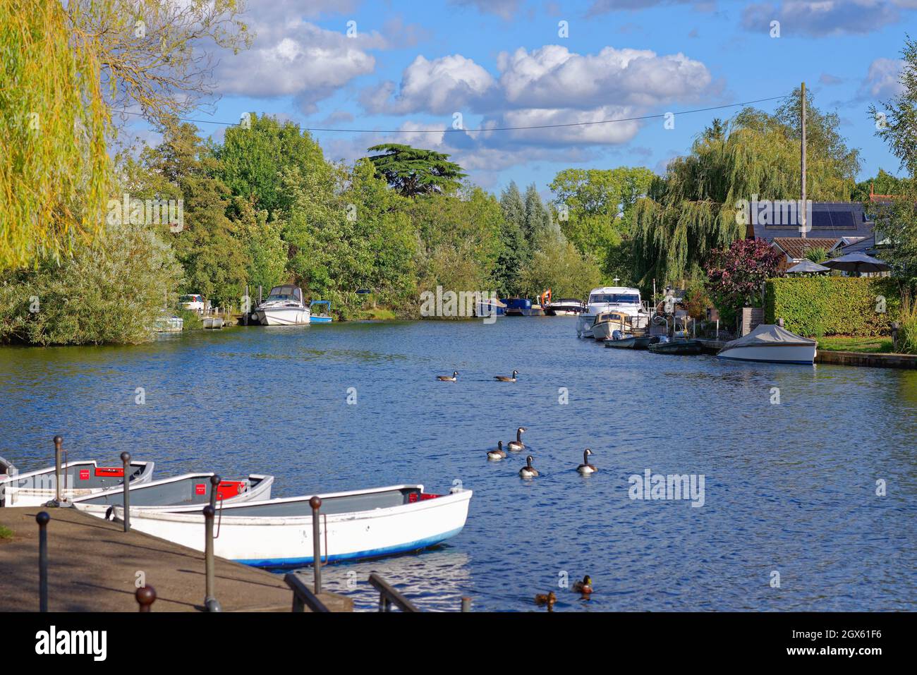 The River Thames and Pharaohs Island at Shepperton on a sunny summers ...