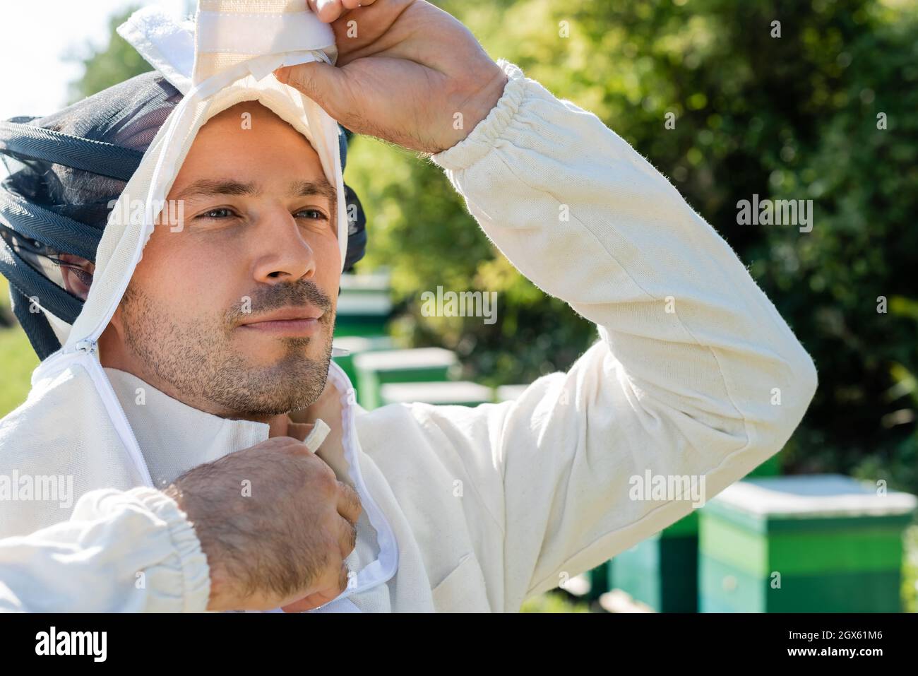 bee master taking off beekeeping suit on apiary Stock Photo - Alamy