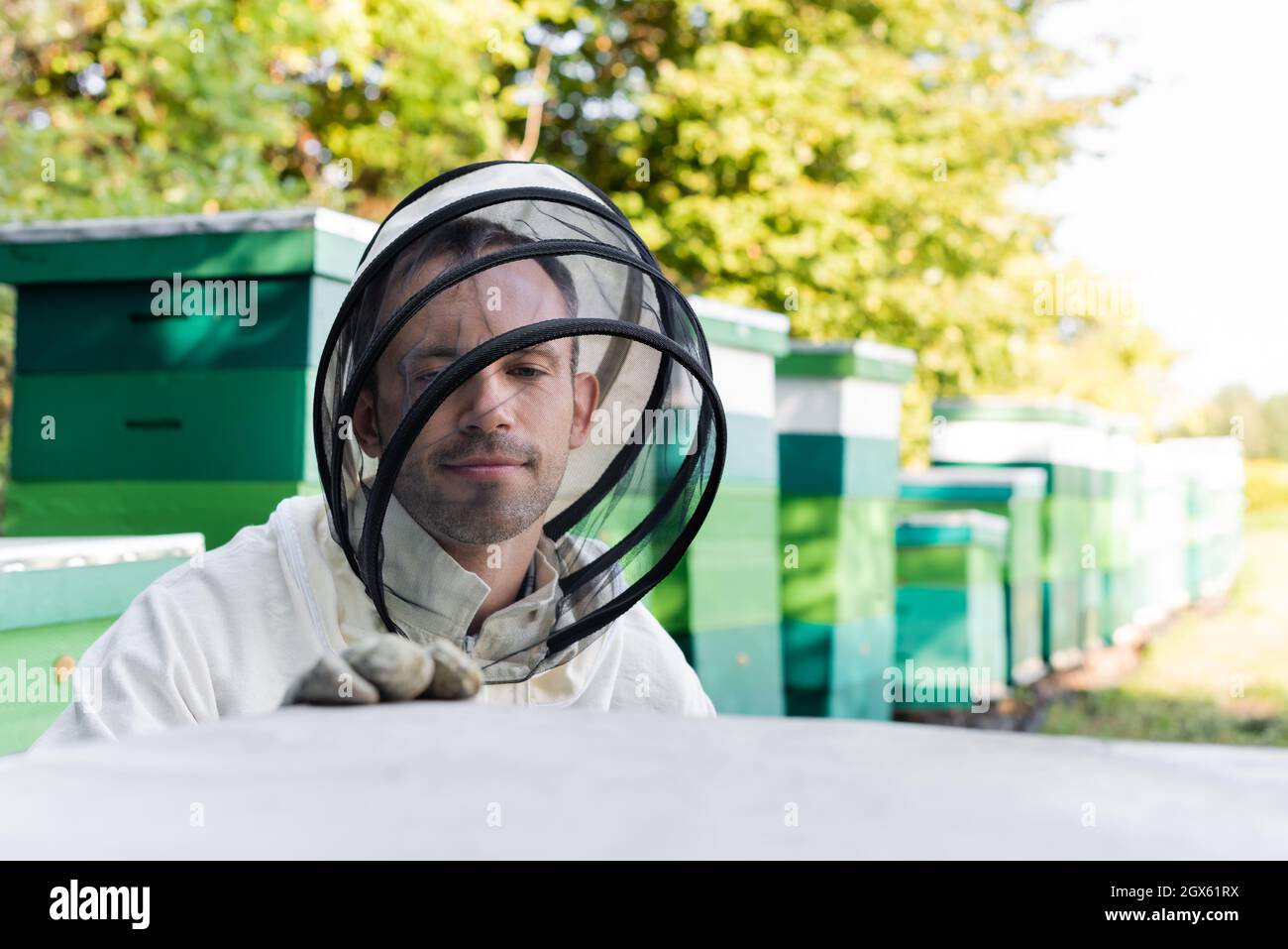 positive beekeeper in protective suit and helmet with veil on apiary ...