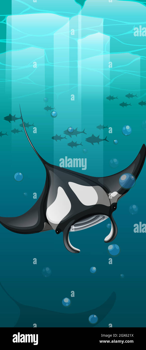 Manta ray swimming under the ocean Stock Vector Image & Art - Alamy
