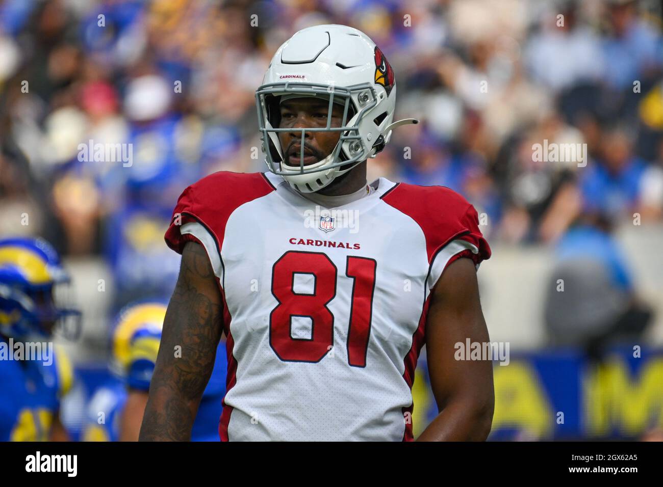 Arizona Cardinals tight end Darrell Daniels (81) during an NFL football ...