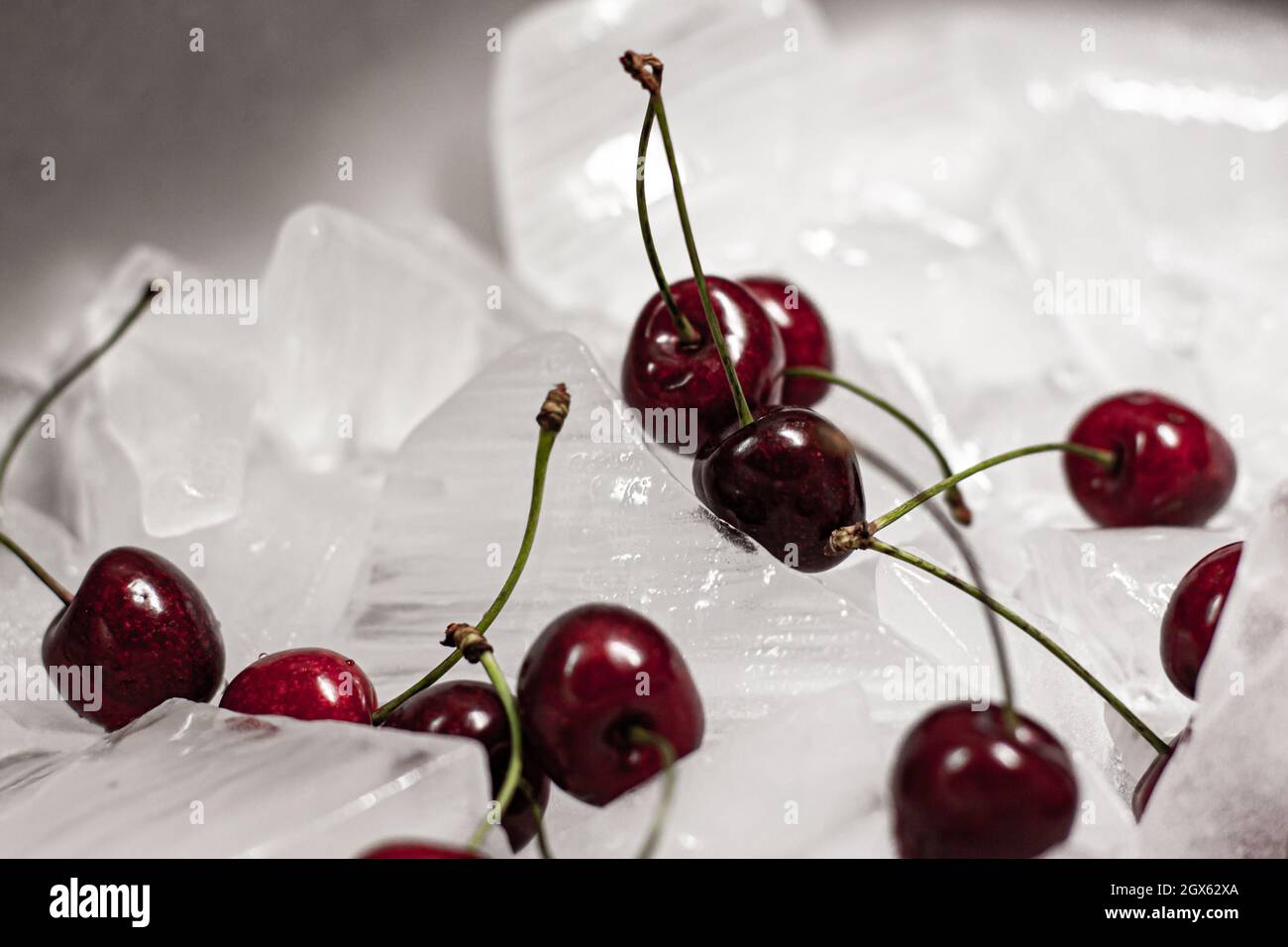 Close up of dark red sweet cherries on chunks of ice. Chilled food and ...