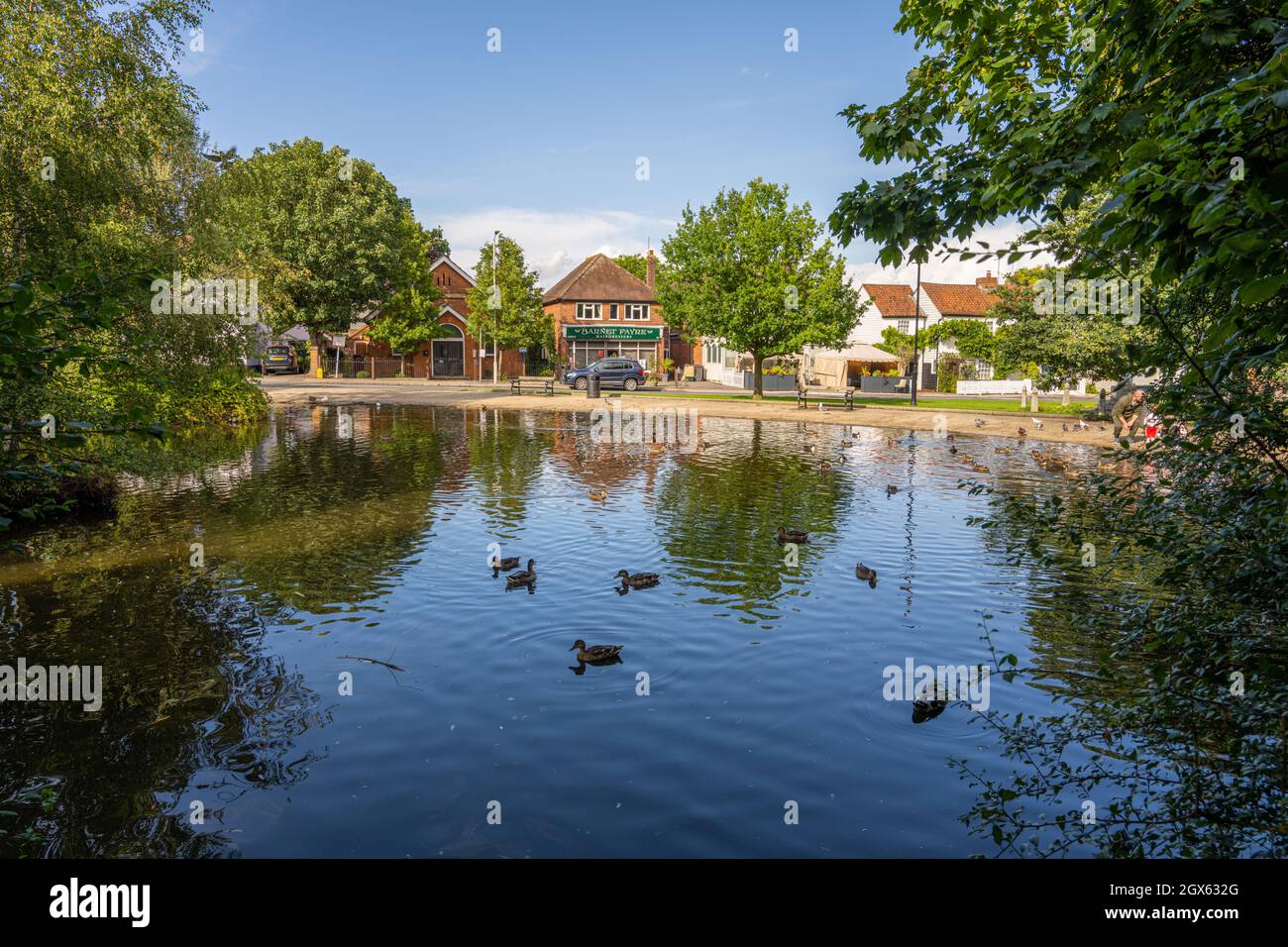 Green village writtle essex uk hi-res stock photography and images - Alamy