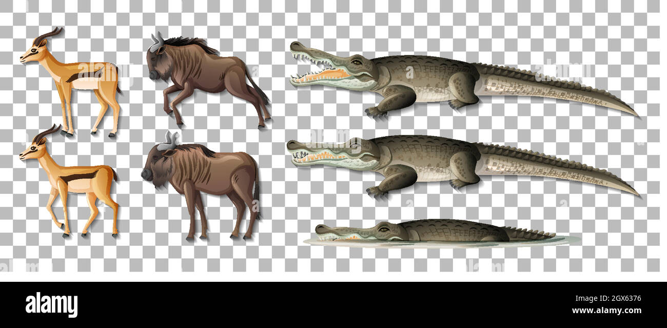Set of isolated wild african animals on transparent background Stock ...