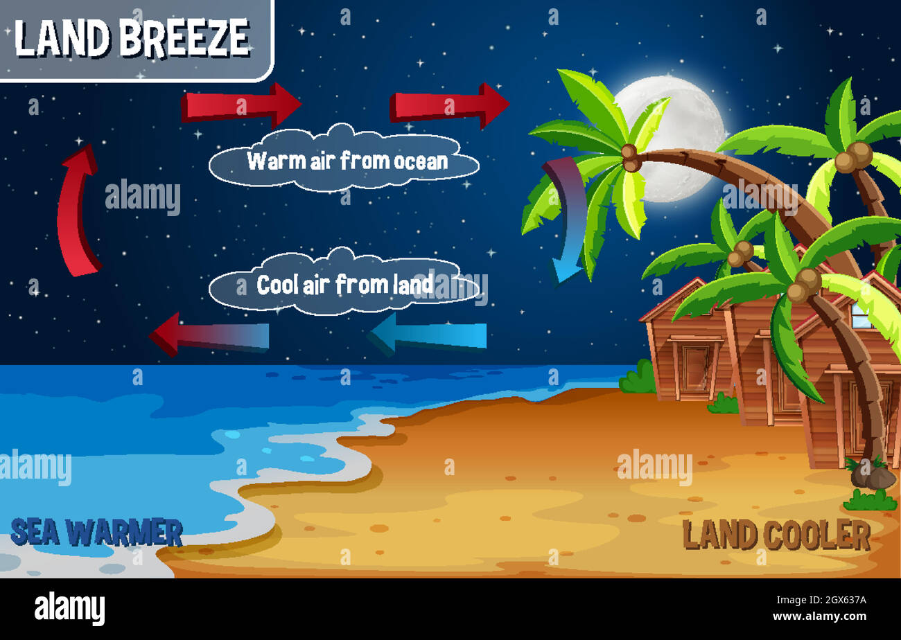 Diagram showing circulation of land breeze Stock Vector Image & Art - Alamy