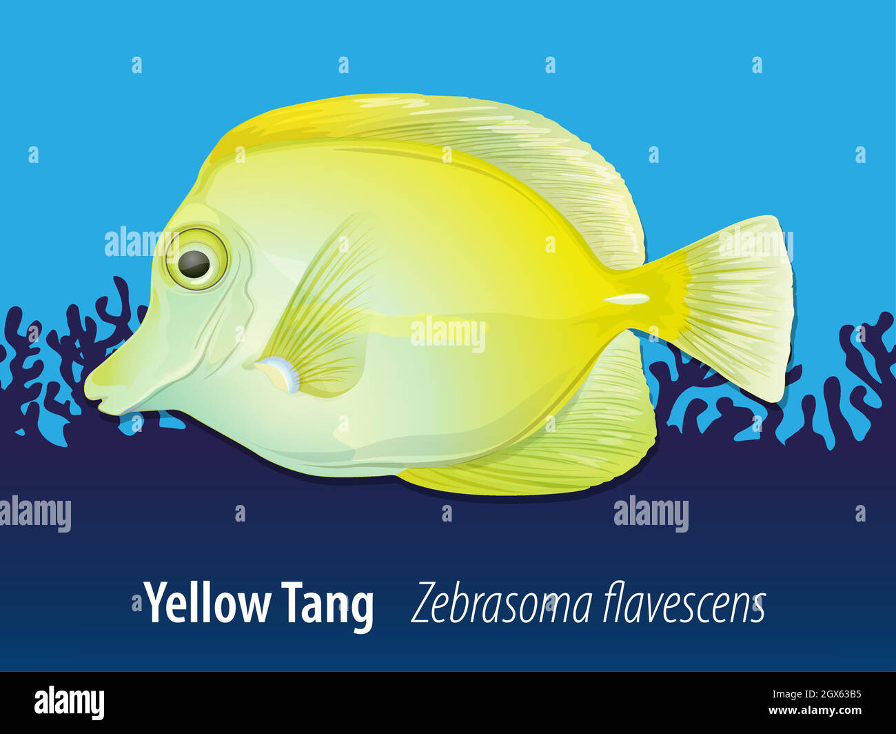 Yellow tang in marine sea Stock Vector Images - Alamy
