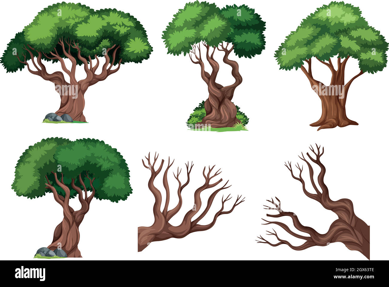 Ornamental illustration hi-res stock photography and images - Alamy