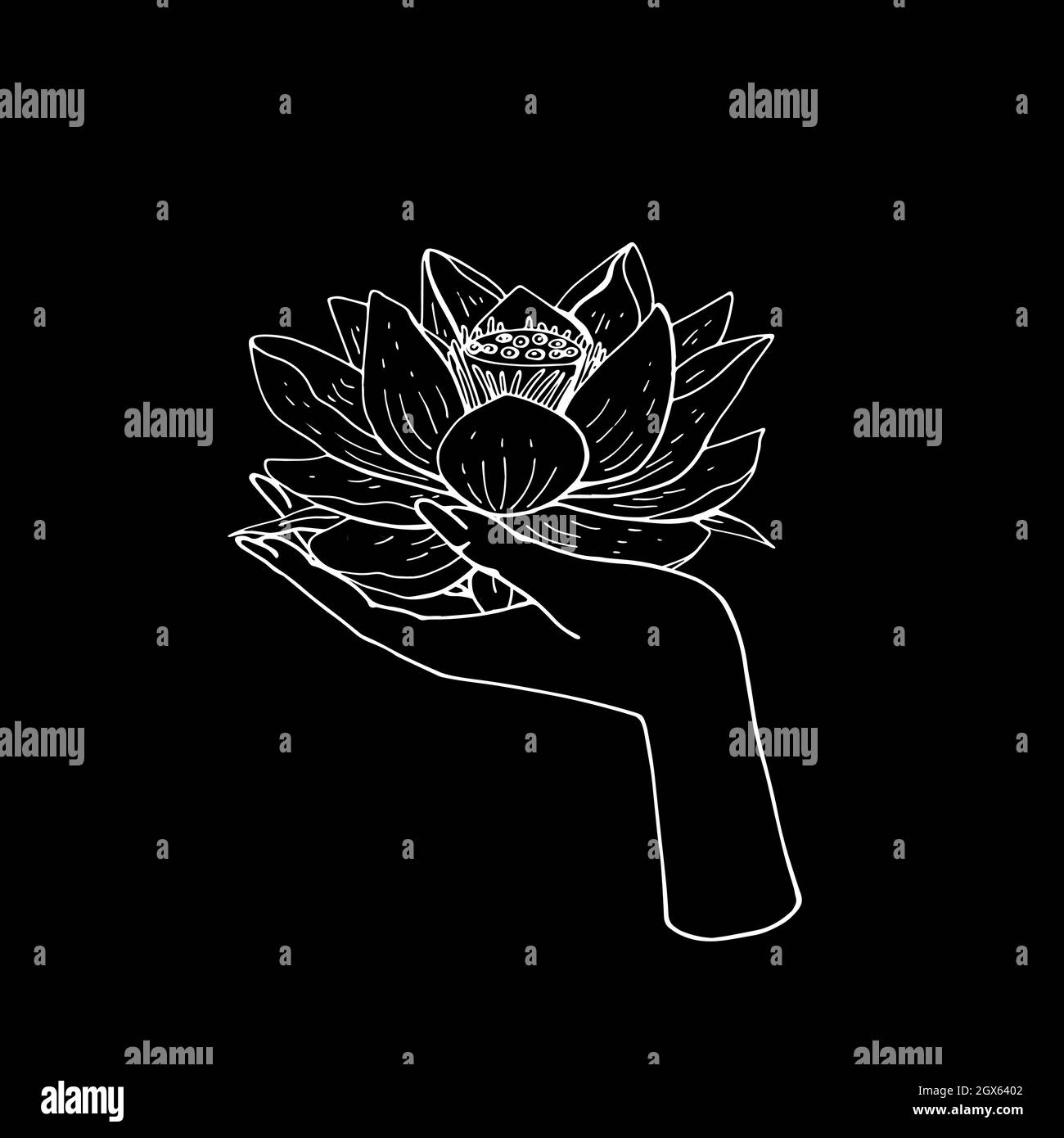 Hand holding lotus flower illustration hi-res stock photography and ...
