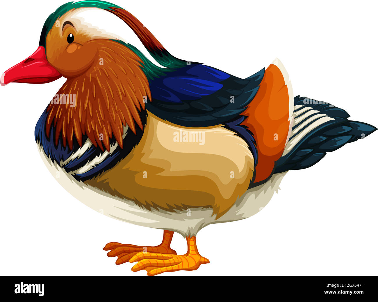 Duck standing up Stock Vector Images - Alamy