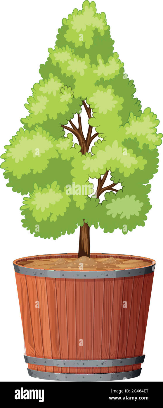 tree in pot plant Stock Vector Image & Art - Alamy