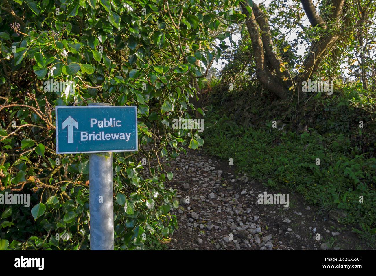 Public Bridal way in the british countryside Stock Photo - Alamy