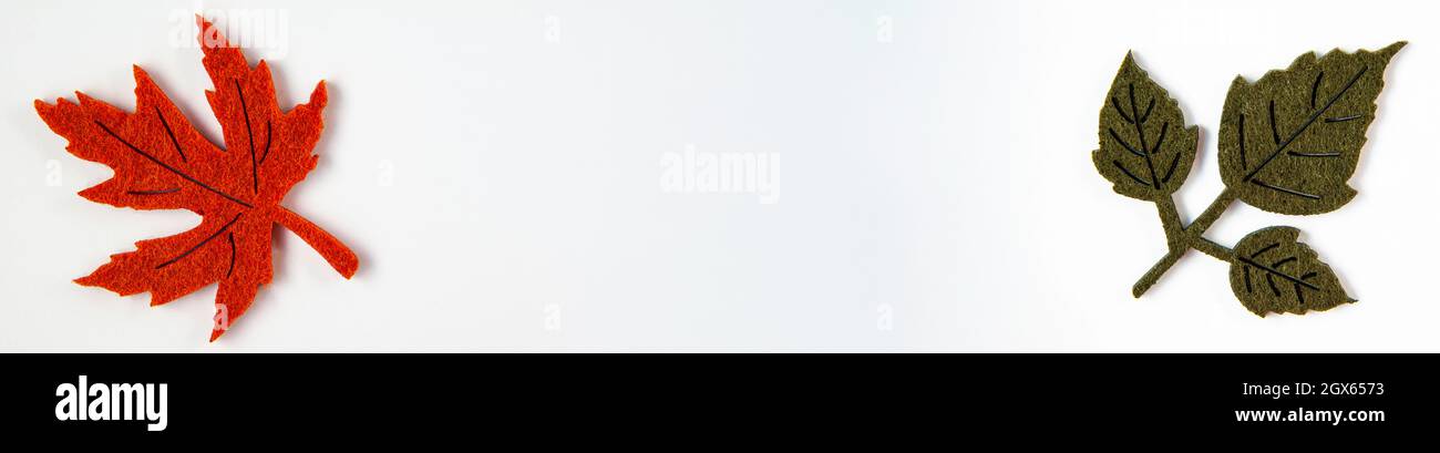 Banner of beautiful autumn leafs from red and green felt isolated on ...