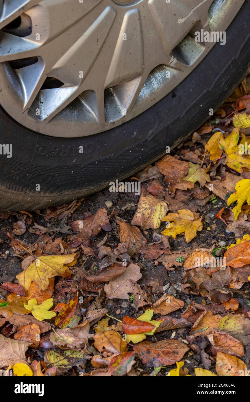 car wheel and tyre on slippery autumn leaves causing a hazard for ...
