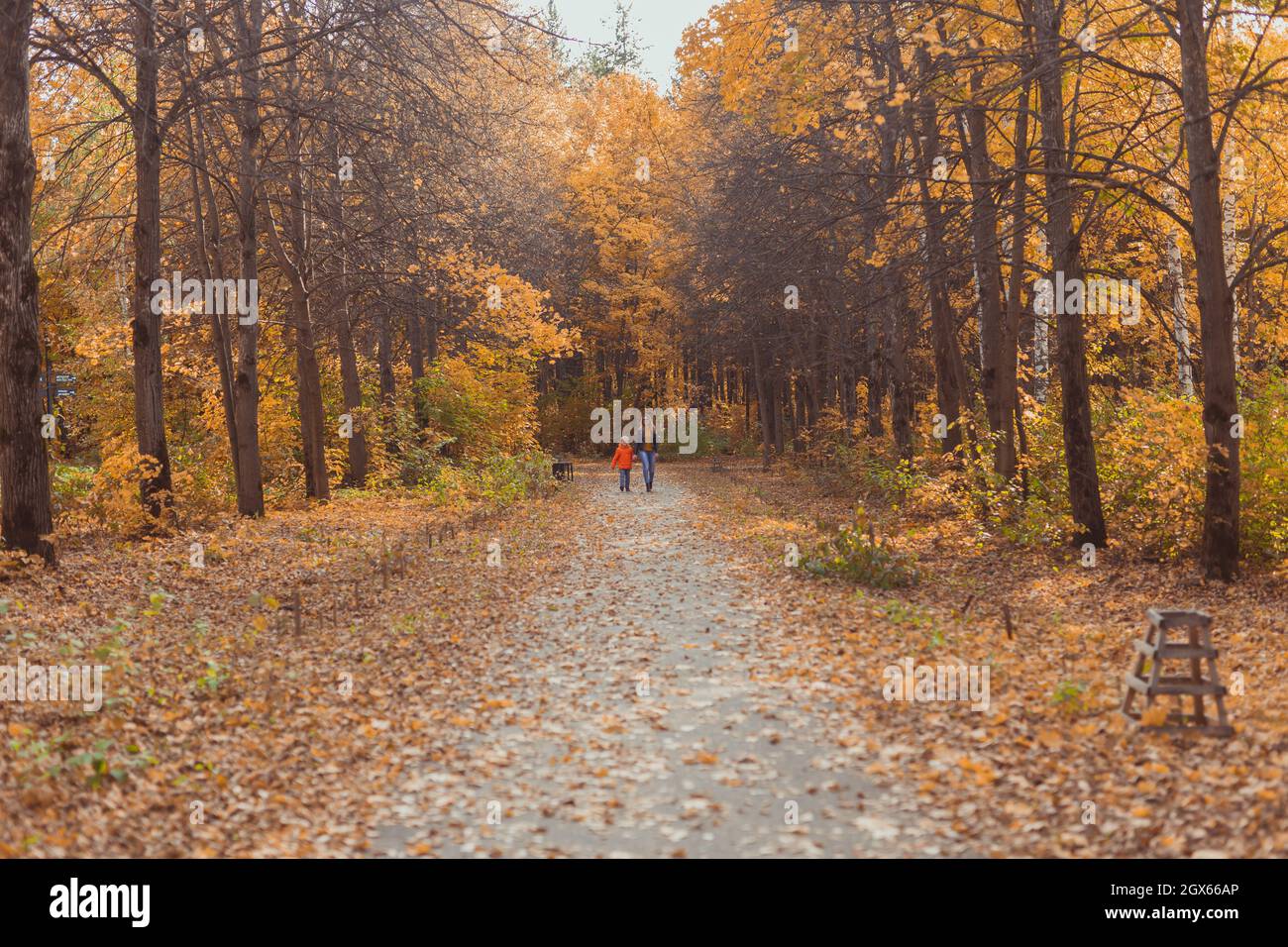 Mother and son walking in the fall park and enjoying the beautiful ...
