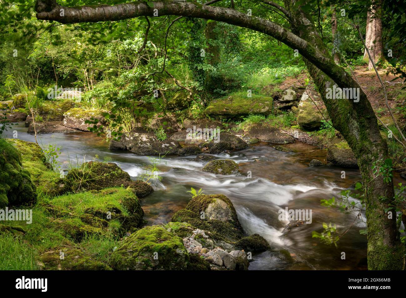 Badgworthy Water runs through the Doone Valley in Somerset, one of ...