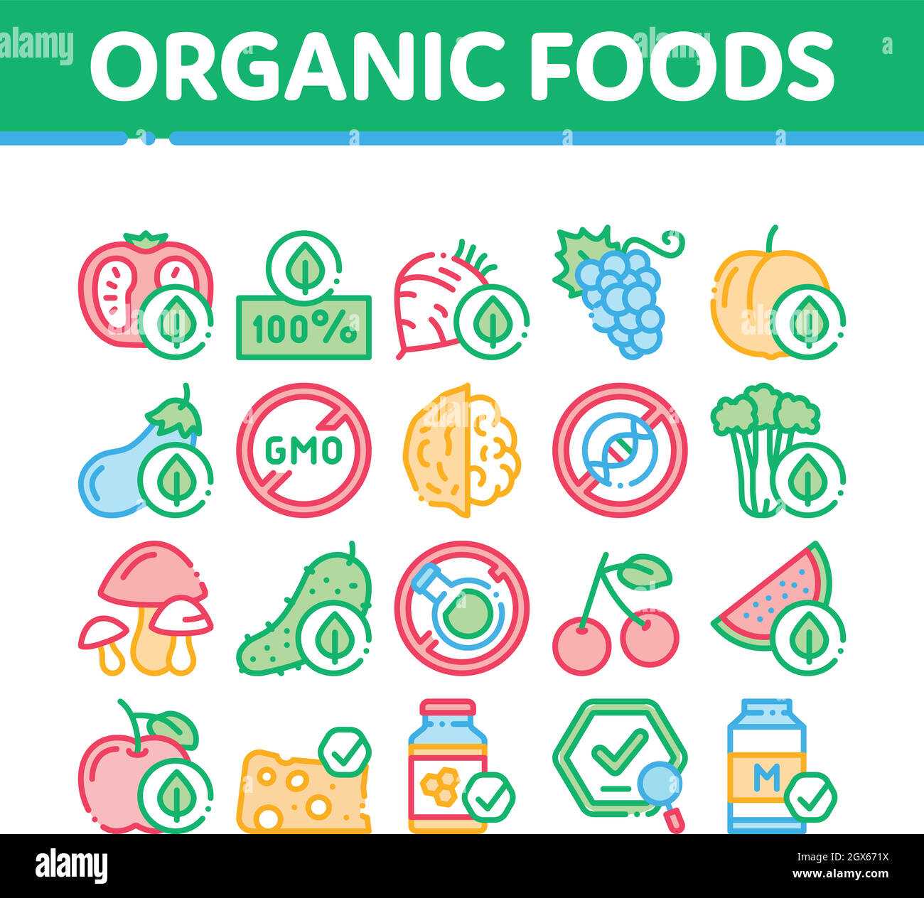 Organic Eco Foods Collection Icons Set Vector Stock Vector Image & Art ...