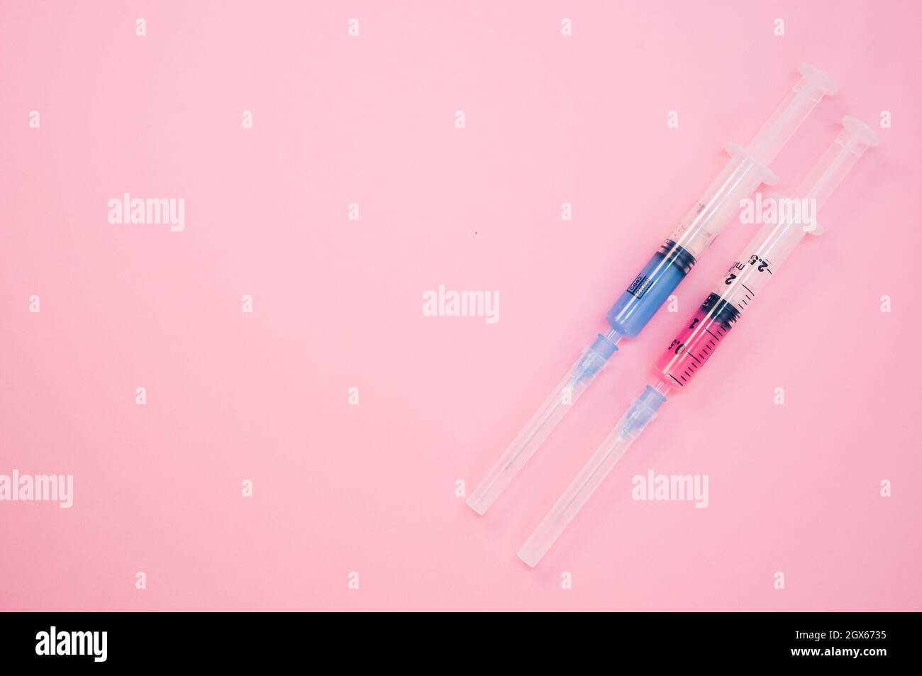 isolated sterilized injection syringe on a pink background Stock Photo ...