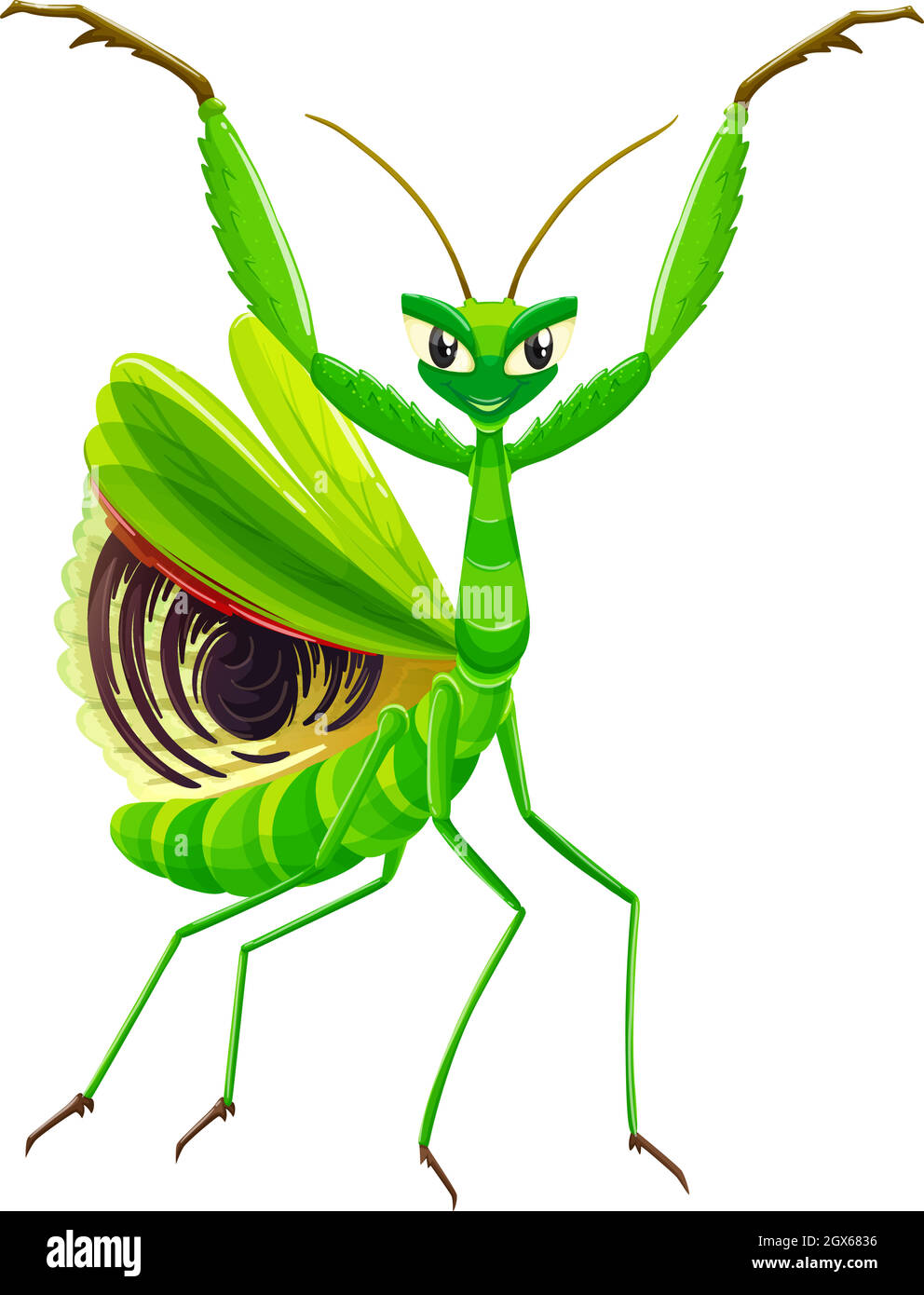Green mantis on white background Stock Vector Image & Art - Alamy