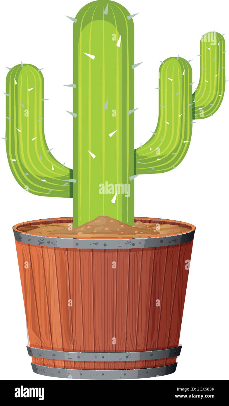 Cactus in pot set Stock Vector Images - Alamy