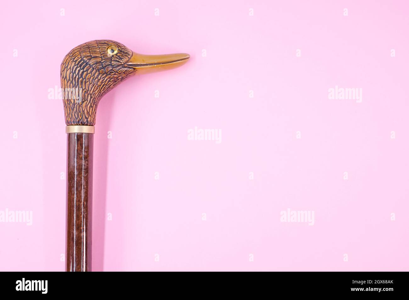 Closeup of a duck-headed wooden cane isolated on a pink background ...