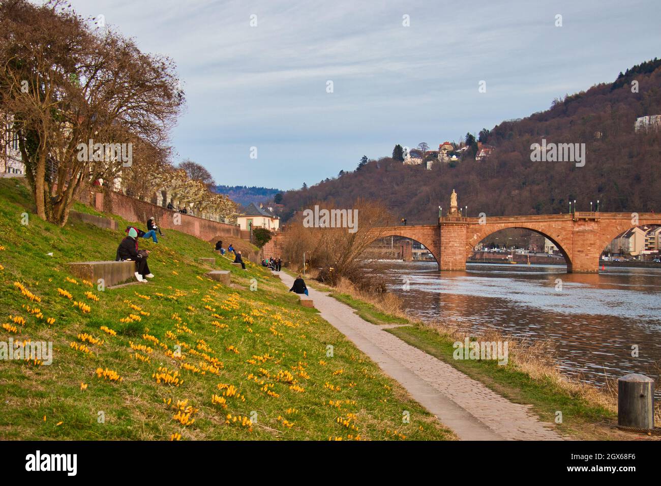 Park heidelberg autumn fall hi-res stock photography and images - Alamy