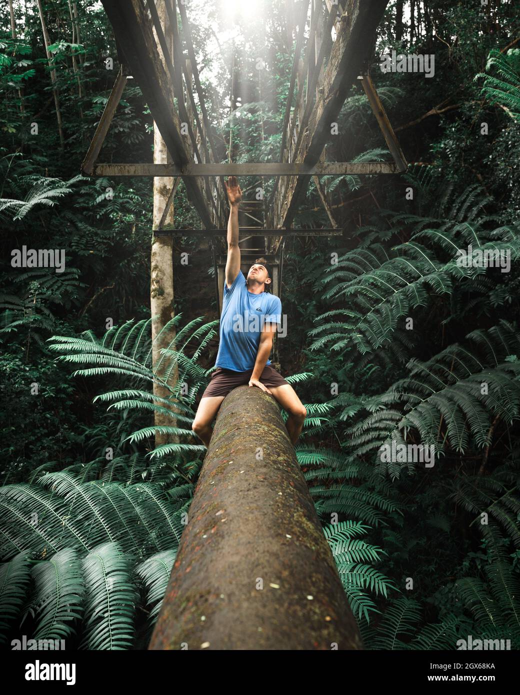 Vertical shot of a caucasian male walking in the jungle, jumping over ...