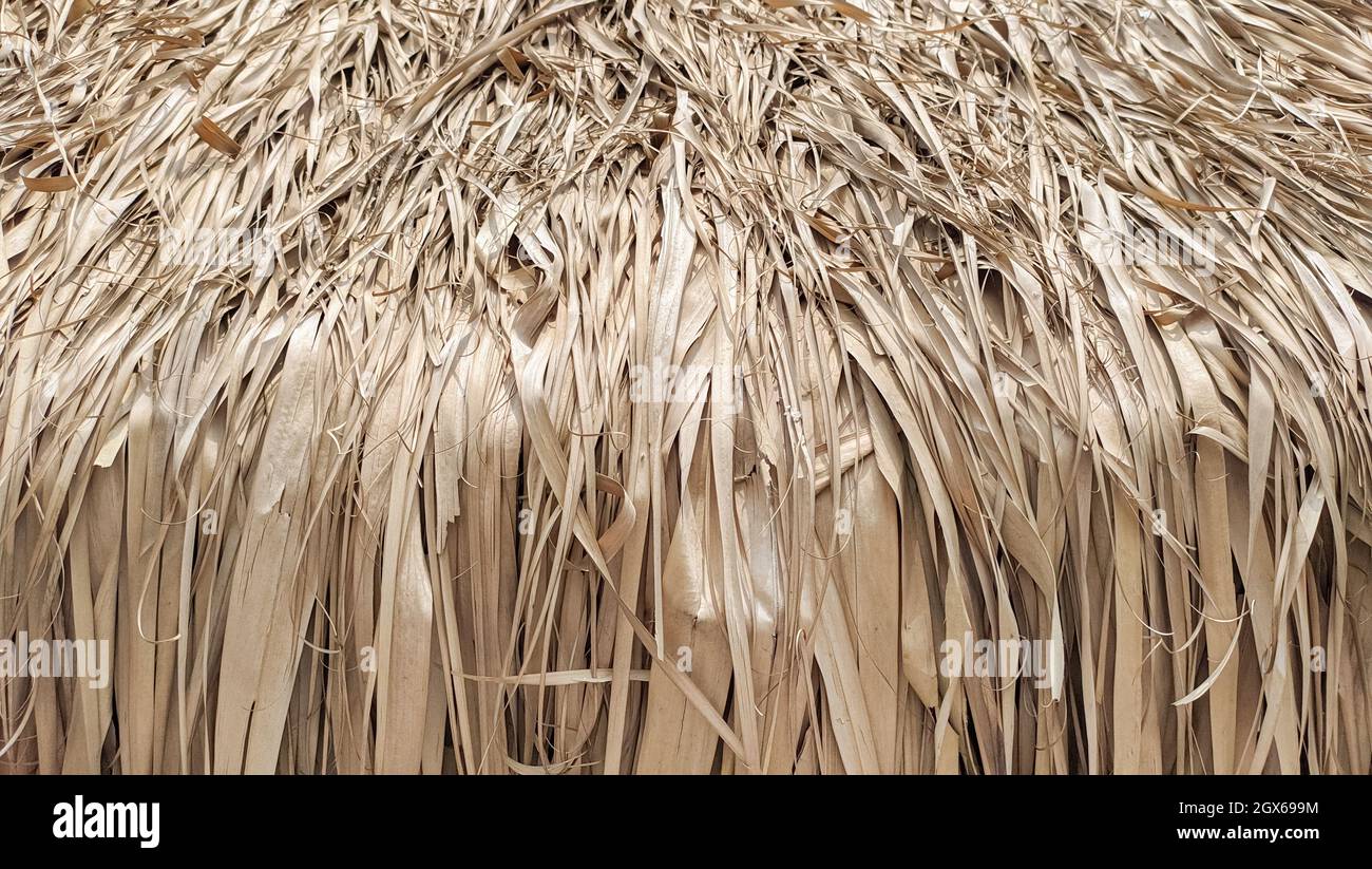 Thatch umbrella at beach hi-res stock photography and images - Alamy