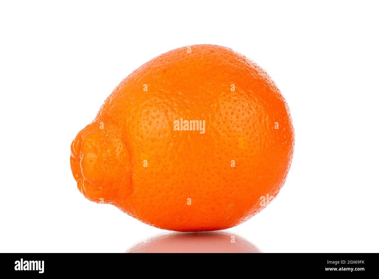 Mineola orange hi-res stock photography and images - Alamy