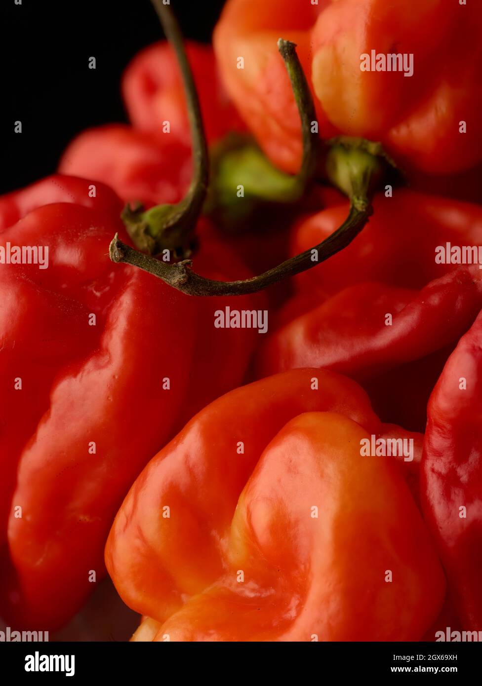 High resolution food ingredient still-life of Scotch Bonnet Peppers, on ...