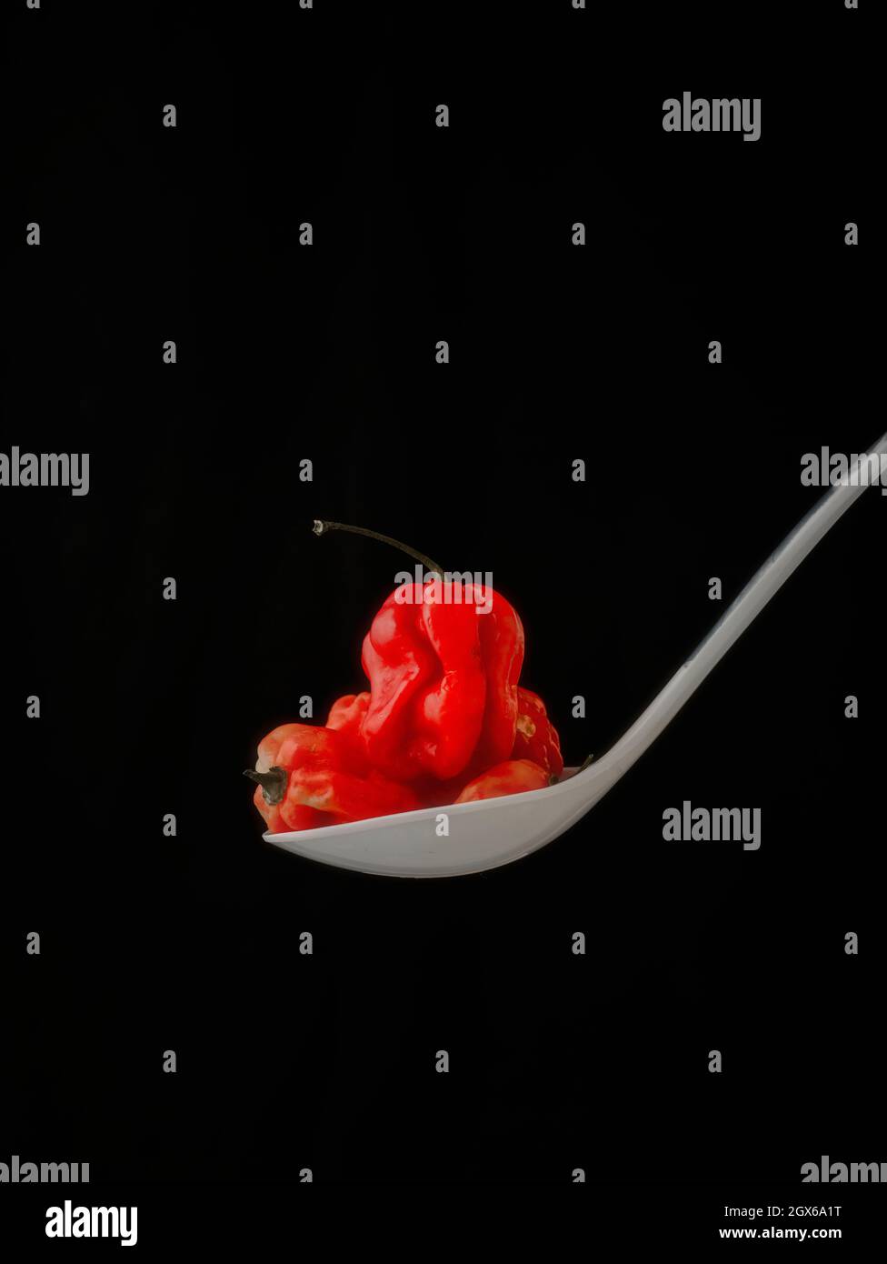 High resolution food ingredient still-life of Scotch Bonnet Peppers, on ...