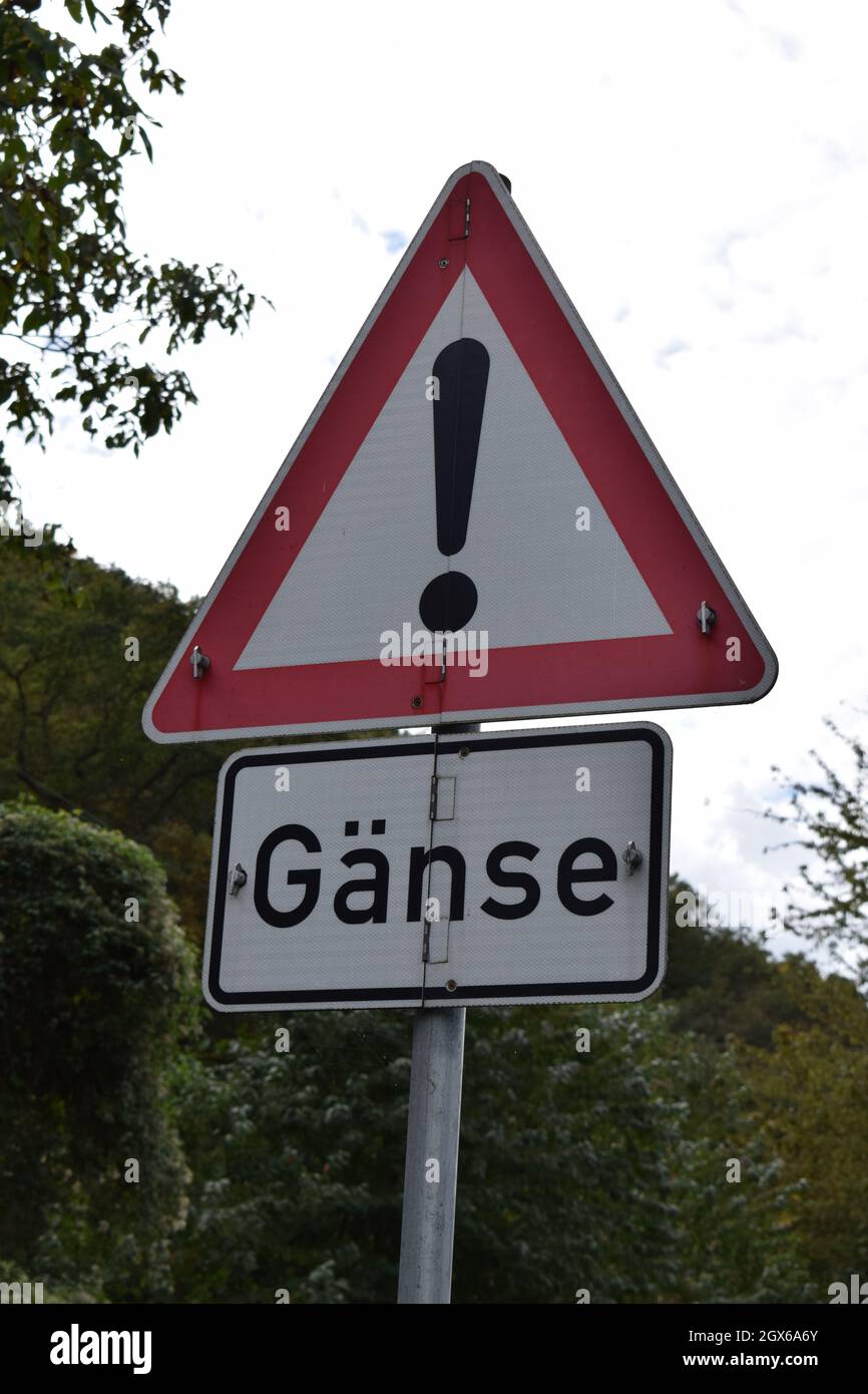 Goose crossing sign hi-res stock photography and images - Alamy