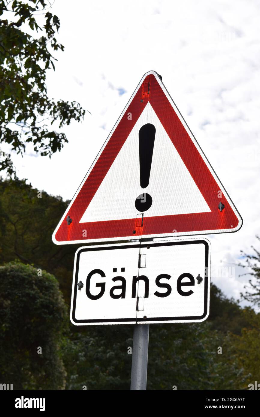 goose warning traffic sign Stock Photo - Alamy