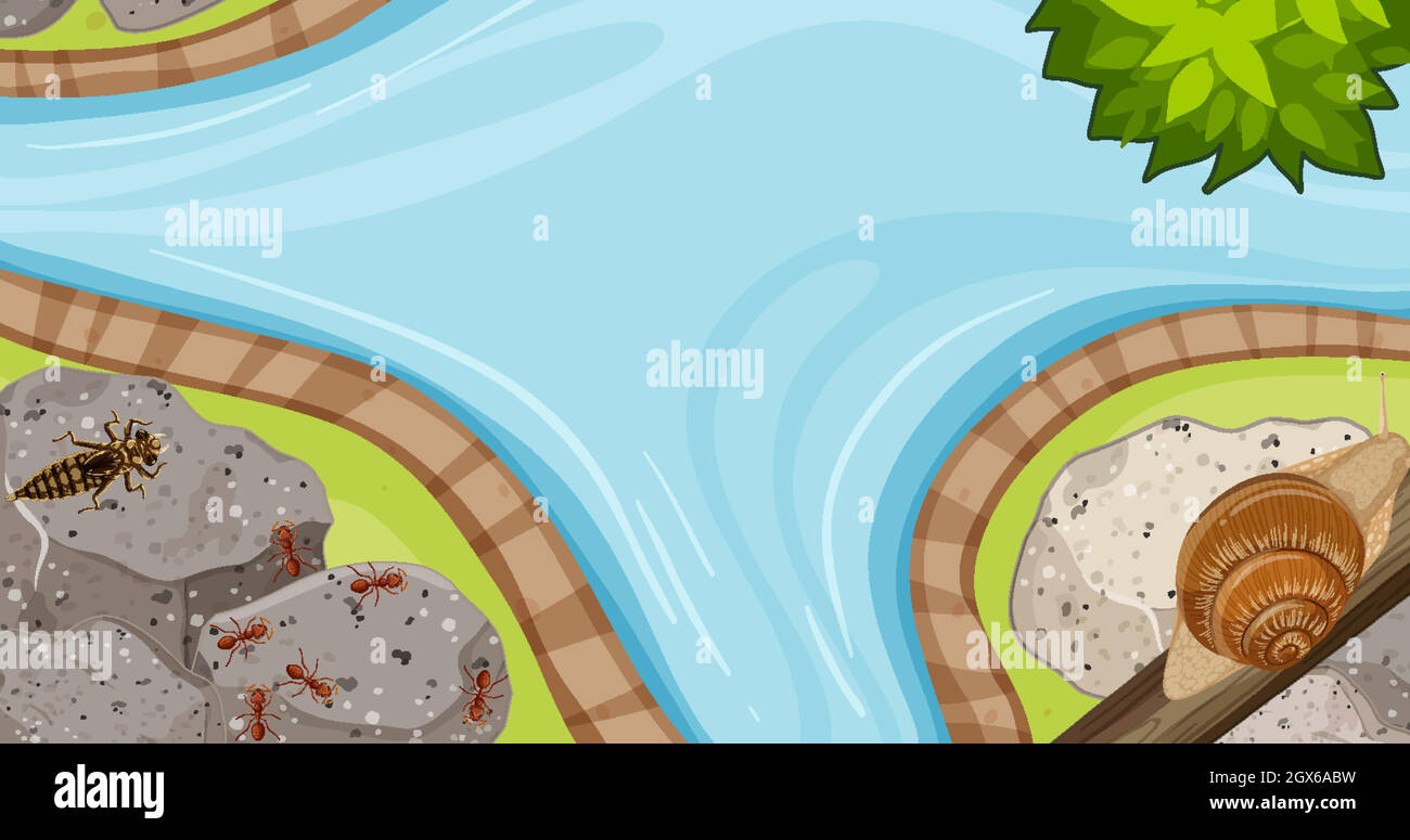 Top view of river garden scene with many insects Stock Vector Image ...