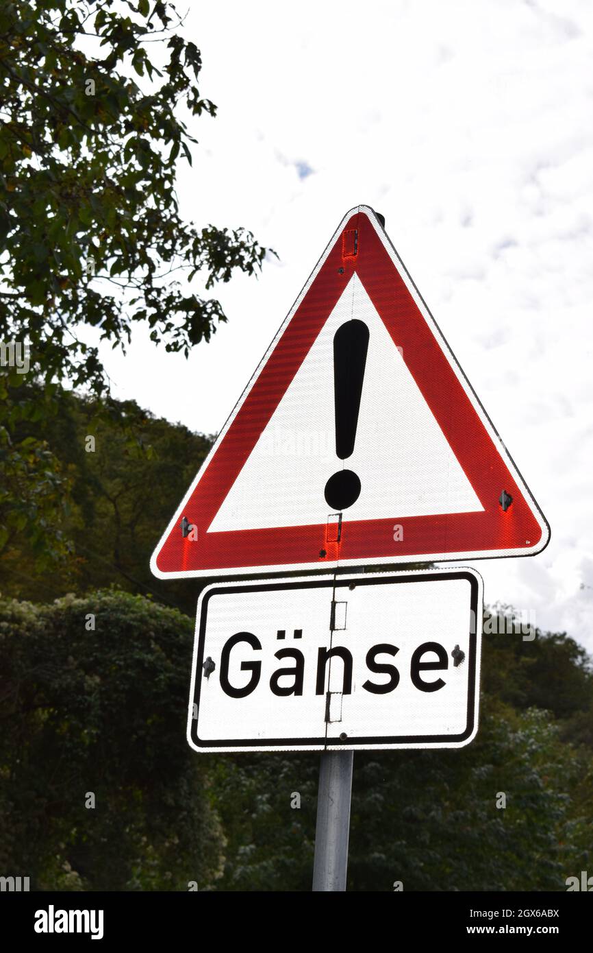 Goose warning traffic sign hi-res stock photography and images - Alamy