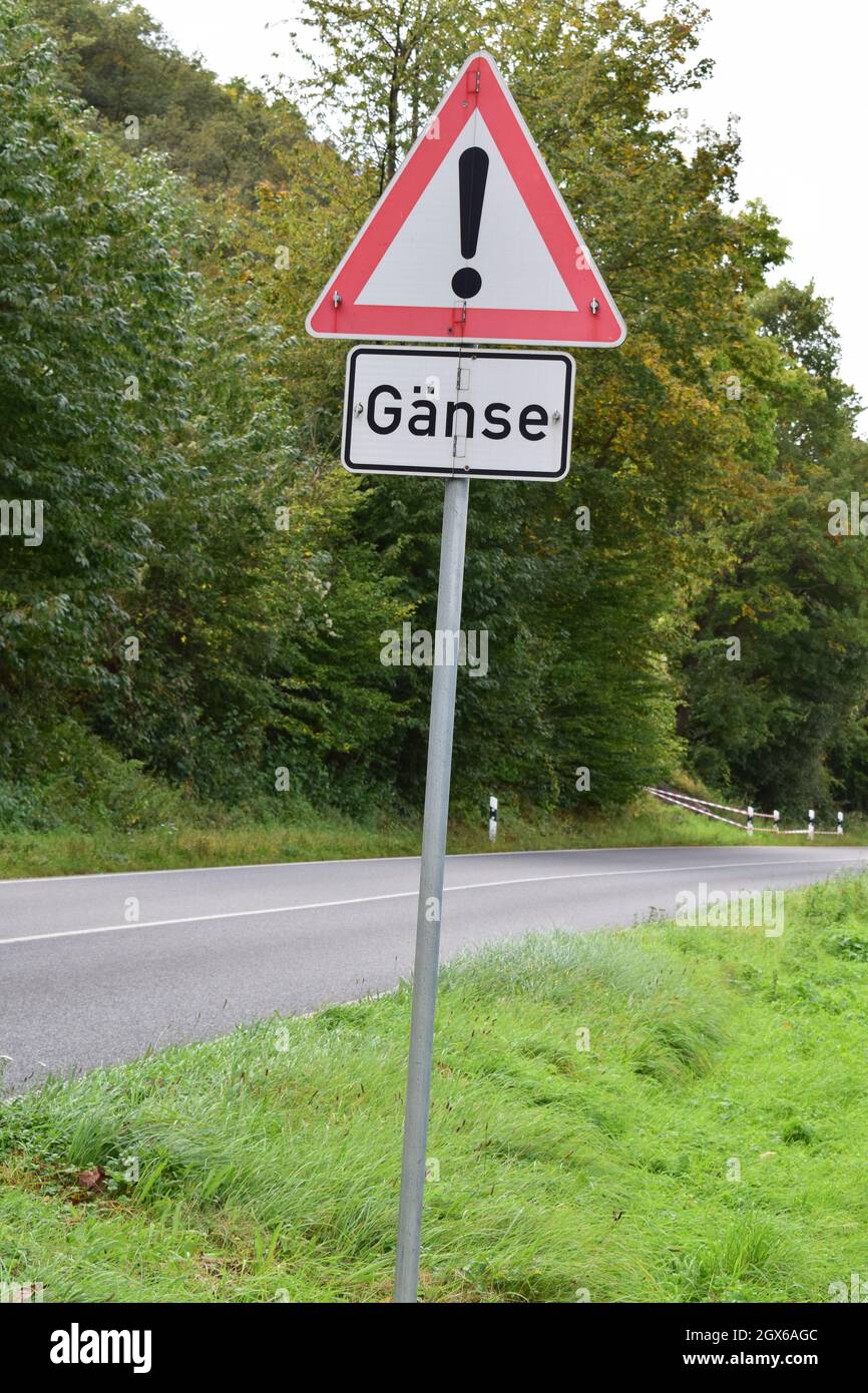 goose warning traffic sign Stock Photo - Alamy