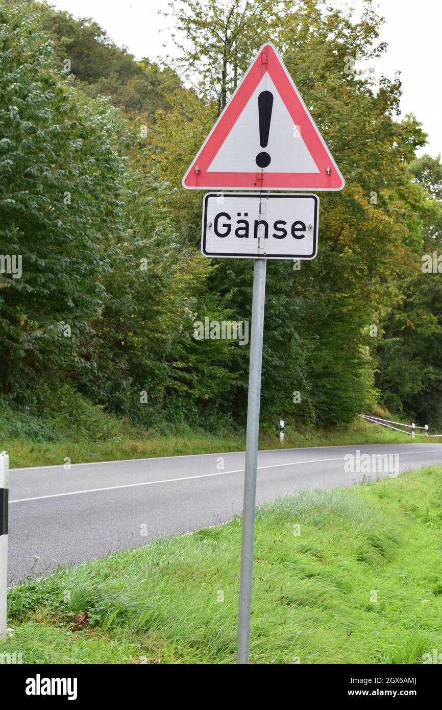 goose warning traffic sign Stock Photo - Alamy